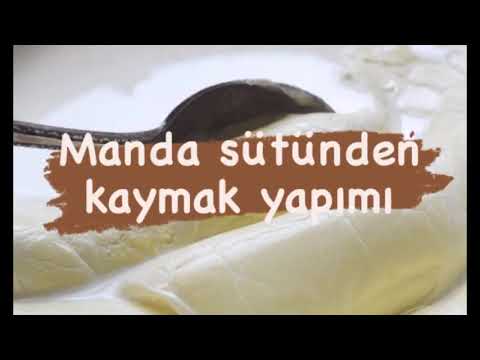 Manda sütünden kaymak yapımı
