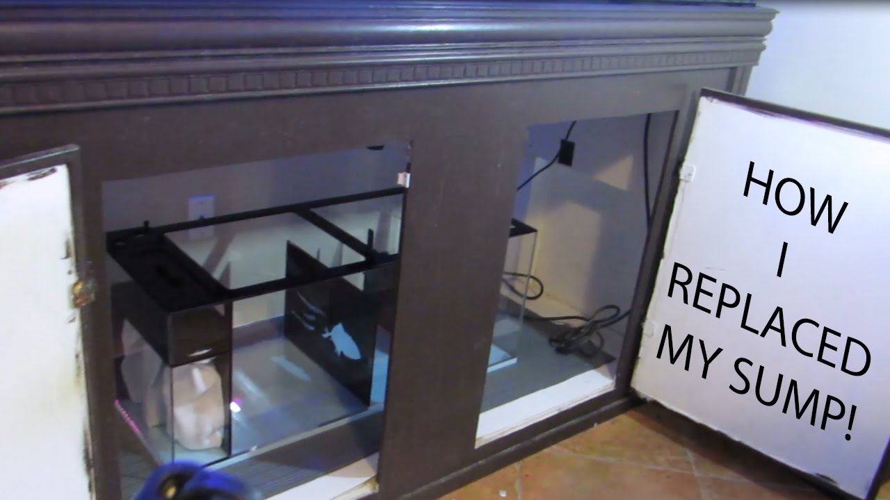 SUMP UPGRADE! How I setup my Trigger Systems Sump. - YouTube