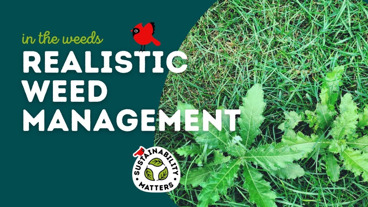 In the Weeds: Realistic Weed Management - YouTube