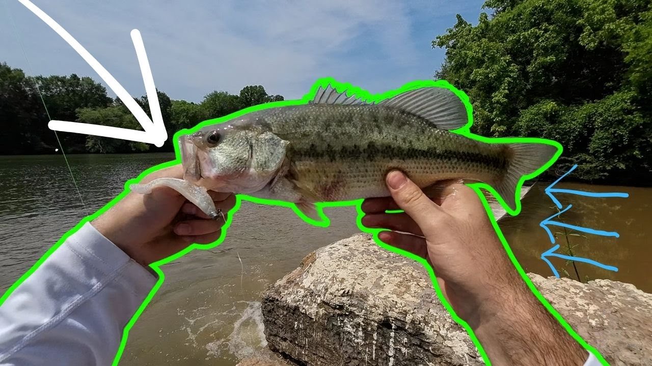 Swimbaiting BASS At The River SPILLWAY! - YouTube