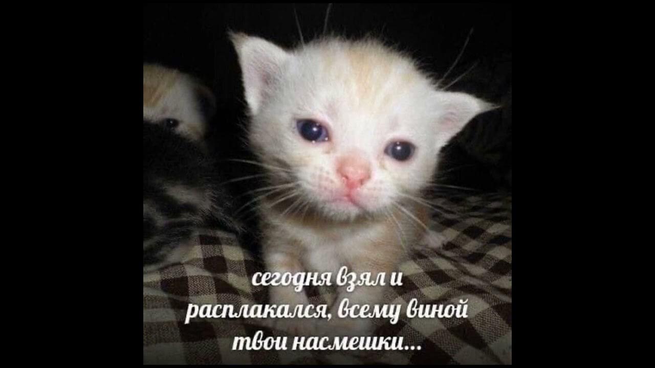 довели - YouTube