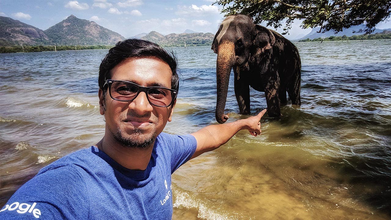 Dambulla Elephant Safari - YouTube