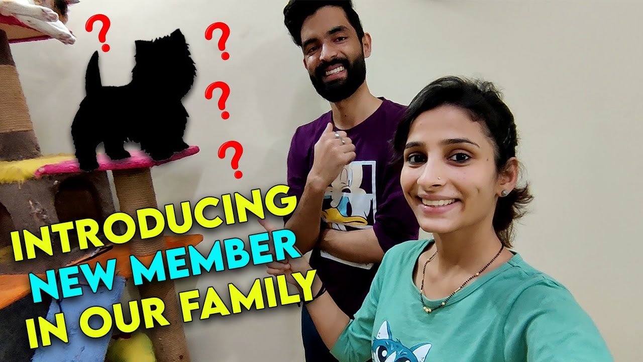 INTRODUCING NEW MEMBER IN OUR FAMILY | THE PAWS FAMILY - YouTube