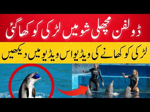 Jessica Dolphin Incident | dolphin and girl Jessica,Jessica and dolphin ...