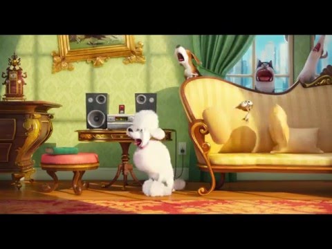The Secret Life Of Pets - TV spot OV [HD]