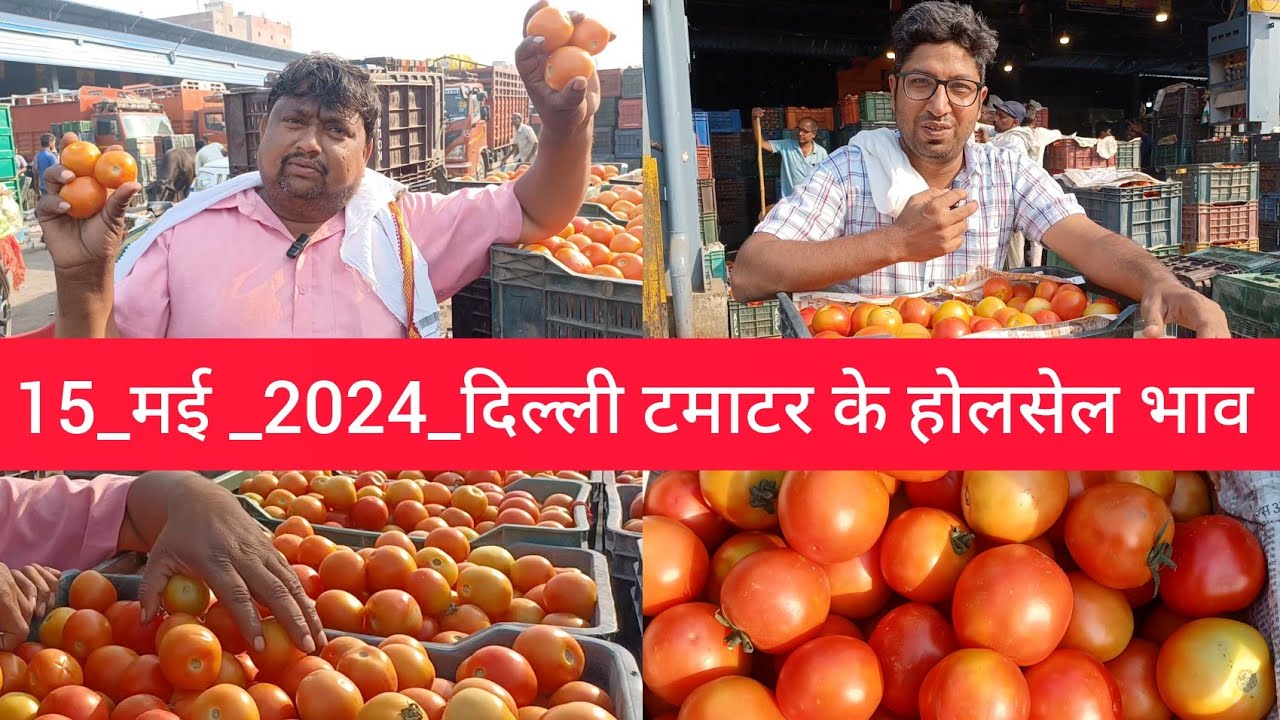 15 May 2024 दिल्ली 🍅 टमाटर के भाव Delhi mandi today tomato market price ...