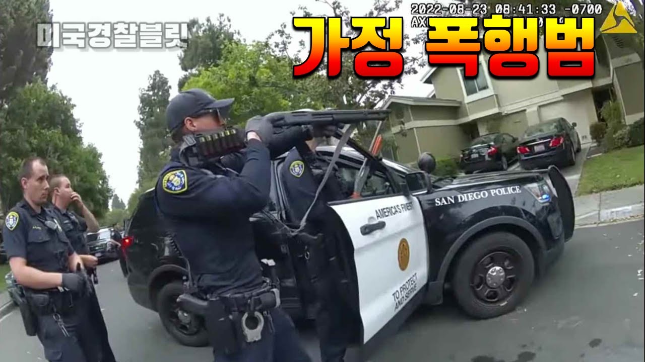 경찰견을 공격하는 것은 곧 미국경찰을 공격하는 것과 동일시한다 Attacking a police dog is akin to ...