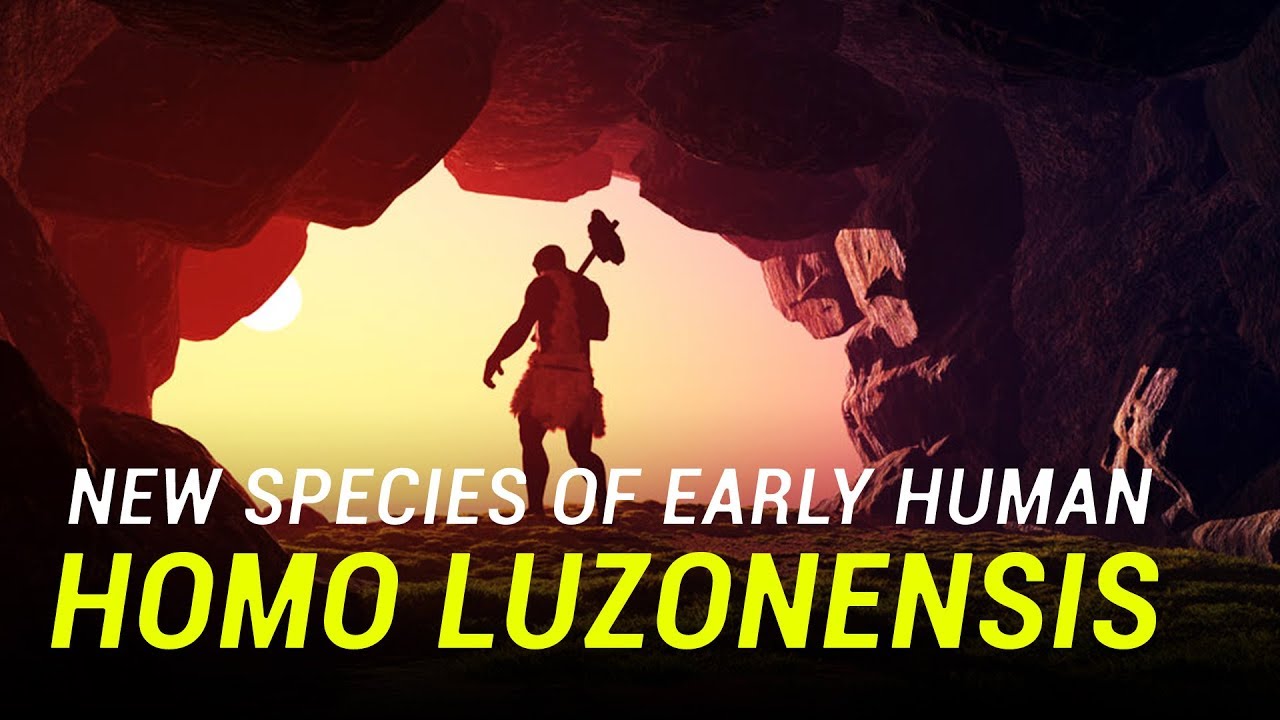 New species of early human discovered in the Philippines - YouTube