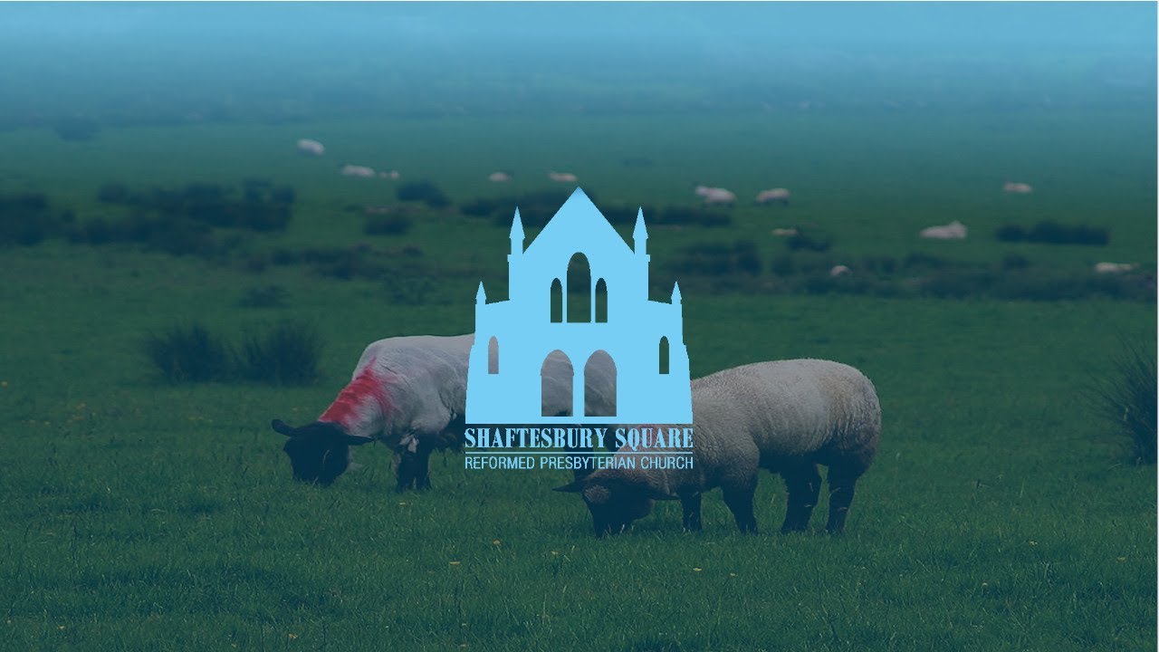 Matthew 5:5, SSRPC 11/6/23 Evening Service - YouTube