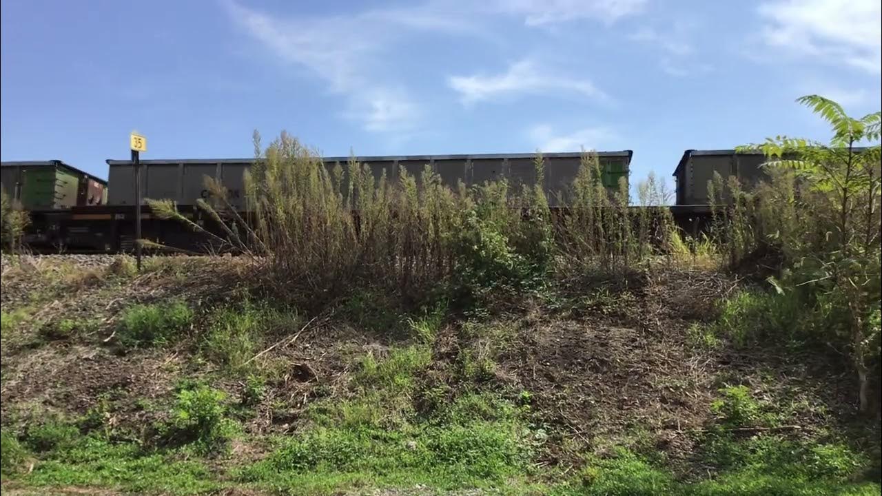 BNSF Coal Train And An Empty BNSF Intermodal Train Side By Side - YouTube