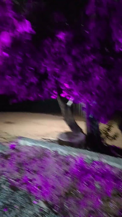 purple land - YouTube