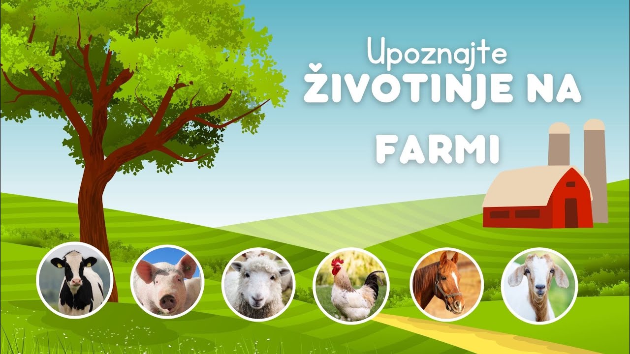 Upoznajte životinje na farmi - YouTube