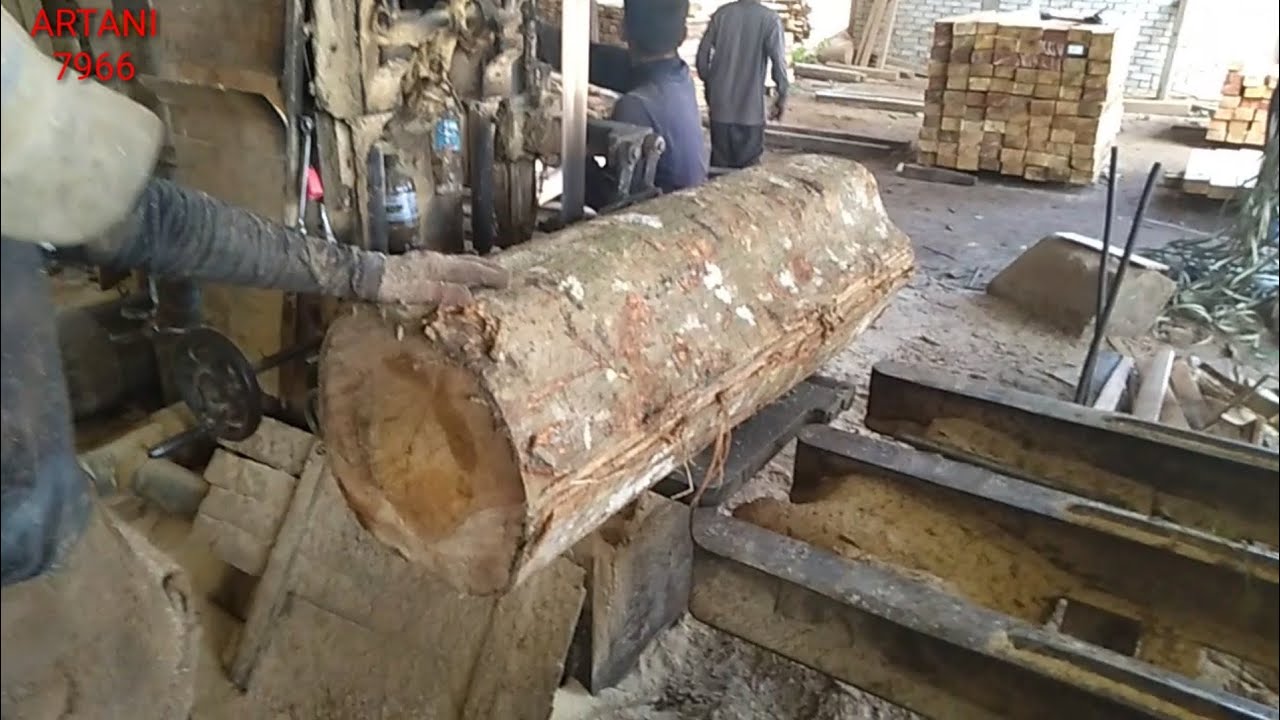 BERMACAM MACAM JENIS KAYU LEMBUT BULAT DAN LURUS MUDAH SEKALI dI PROSES ...