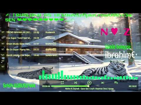 Tik Tok Azerbaycan 7/24 canli  yayin