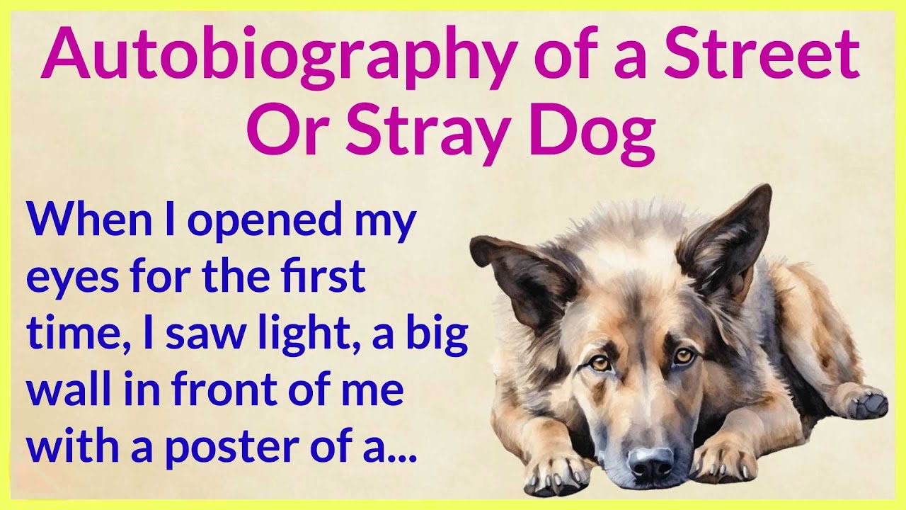 Autobiography of a Street or Stray Dog | Autobiography of a Street or ...