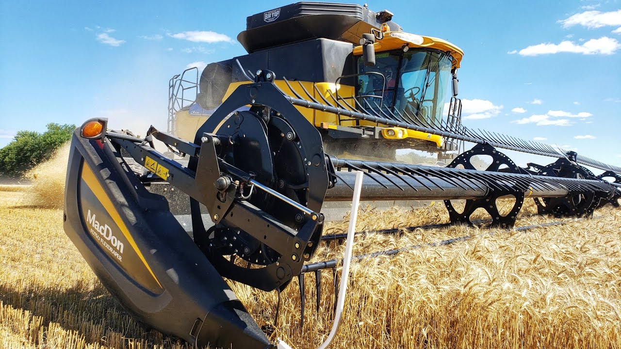 Millennial Farmer Wheat Harvest - YouTube