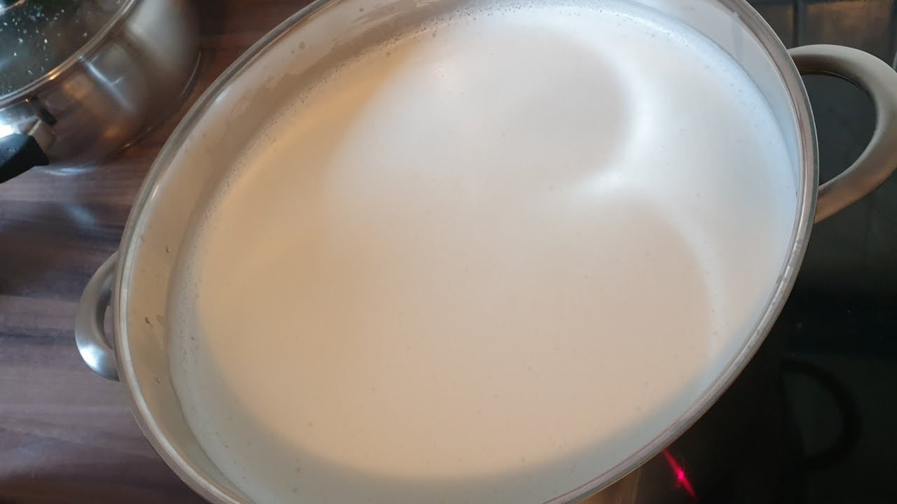 HOW TO MAKE FRESH YOGURT AT HOME/DELICIOUS HOMEMADE YOGURTS FOR 2 ...