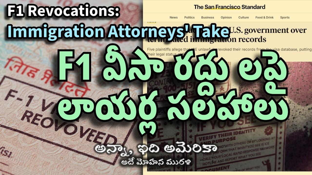 F1 Visa Revocation: TANA Seminar Summary - YouTube