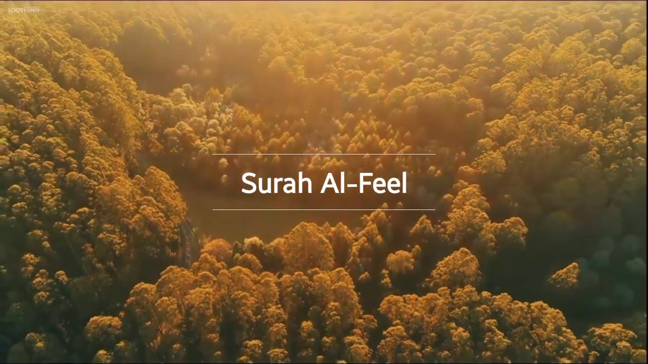 Surah Al-Feel - YouTube
