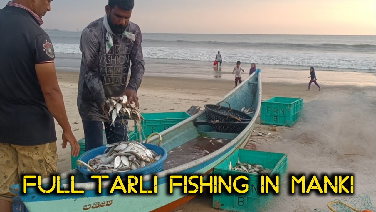 Fishing full tarli in manki | fishing day | deep arabian sea | Aaarya ...