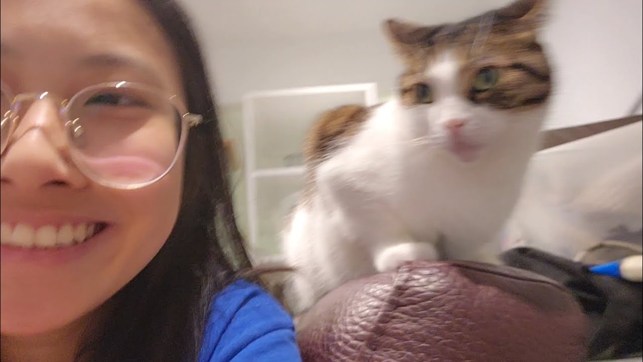 me and nori the cat on couch - YouTube