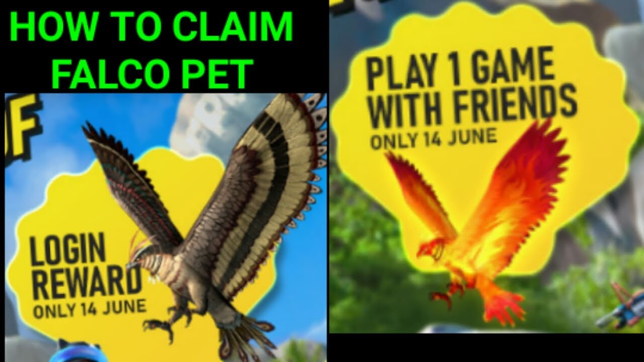 HOW TO CLAIM FALCO PET IN FREE FIRE || HOW TO GET FALCO PET, PET SKIN ...