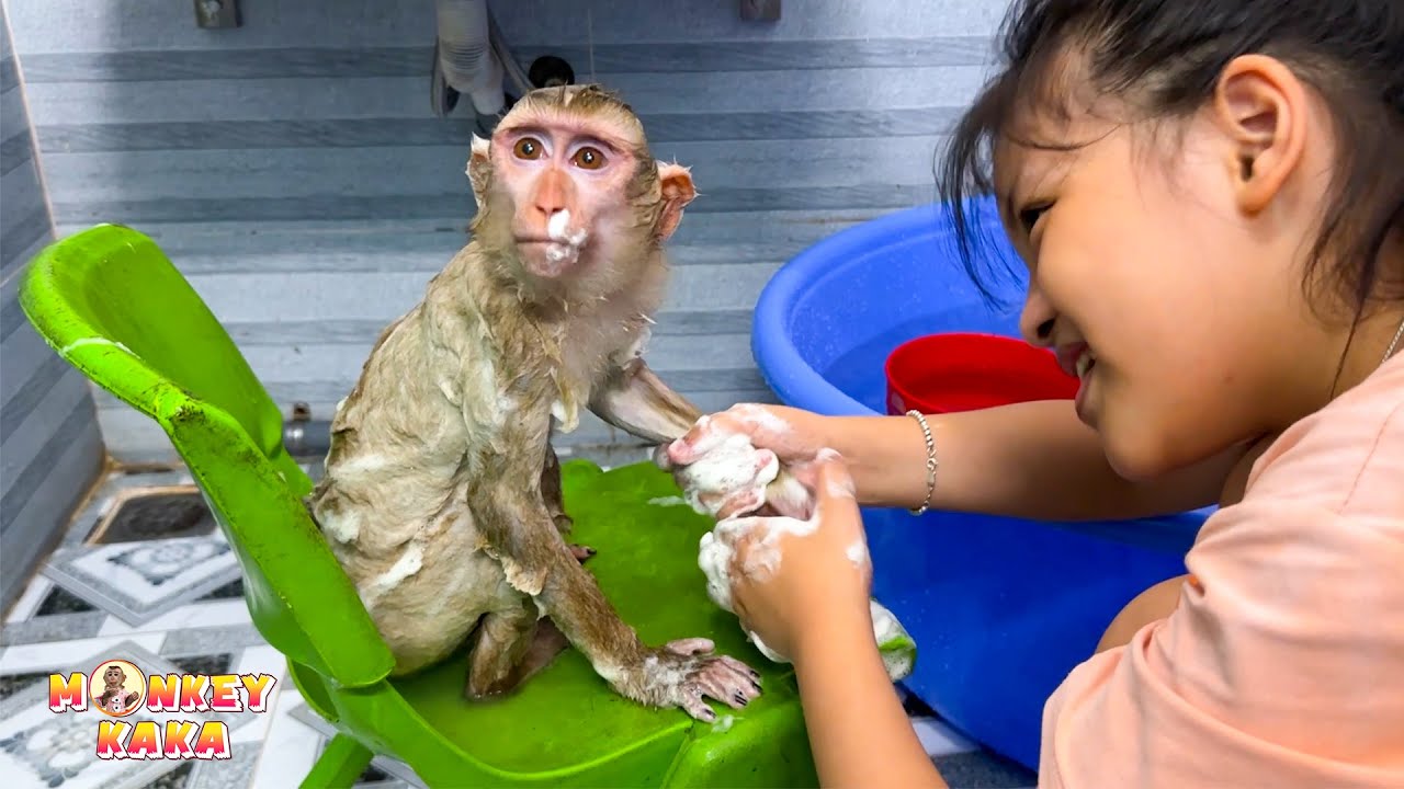 Quynh helps mom bathe monkey Kaka while mom takes care of Diem - YouTube