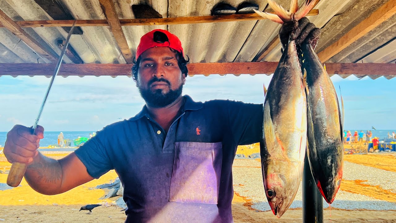 Yellowfin Tuna Fish Cutting Skill | Fastest Tuna Fish Cutting | Tuna ...