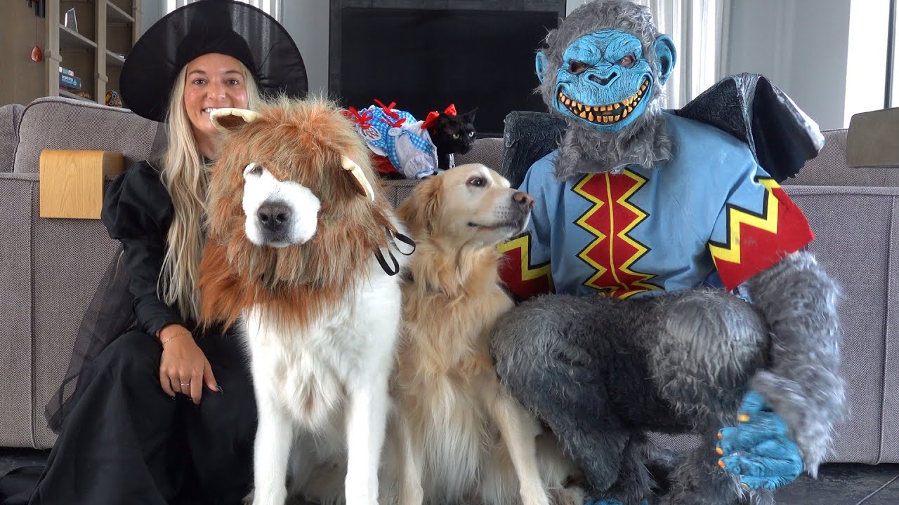 WE SPOOKED OUR PETS FOR HALLOWEEN! - Super Cooper Sunday 365 - YouTube
