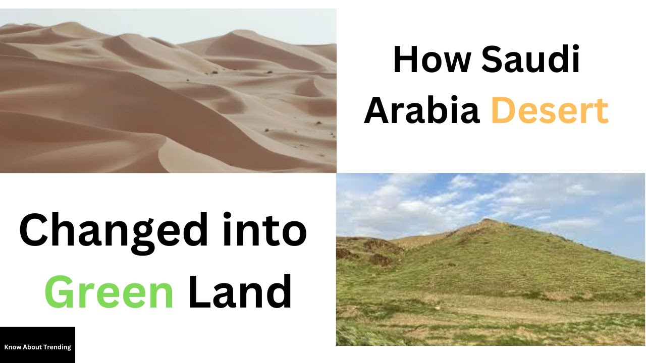 How Saudi Arabia Desert turns to Green | Saudi Desert Green kaise hua # ...