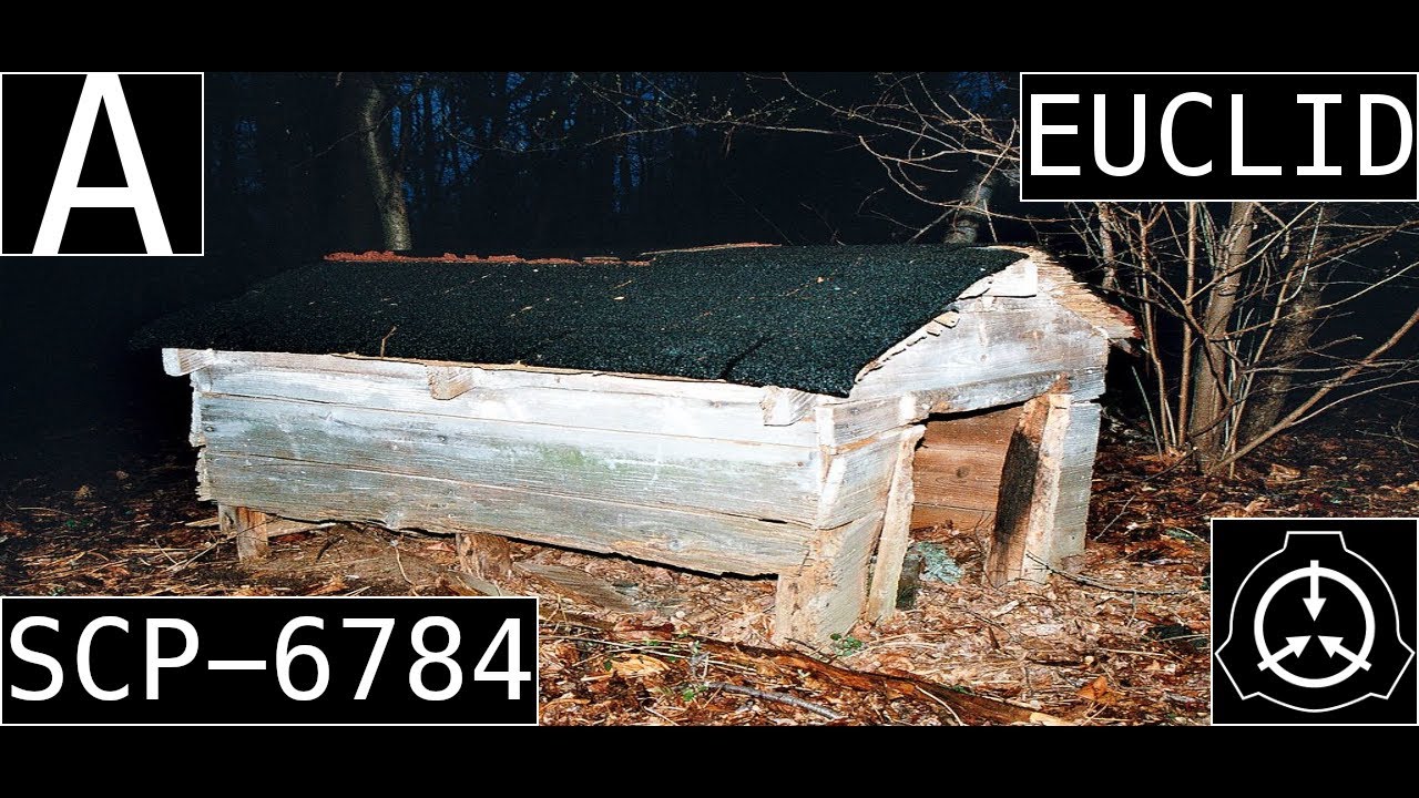 SCP-6784 "The Family Gone Too Soon" [SCP Wikidot] - YouTube