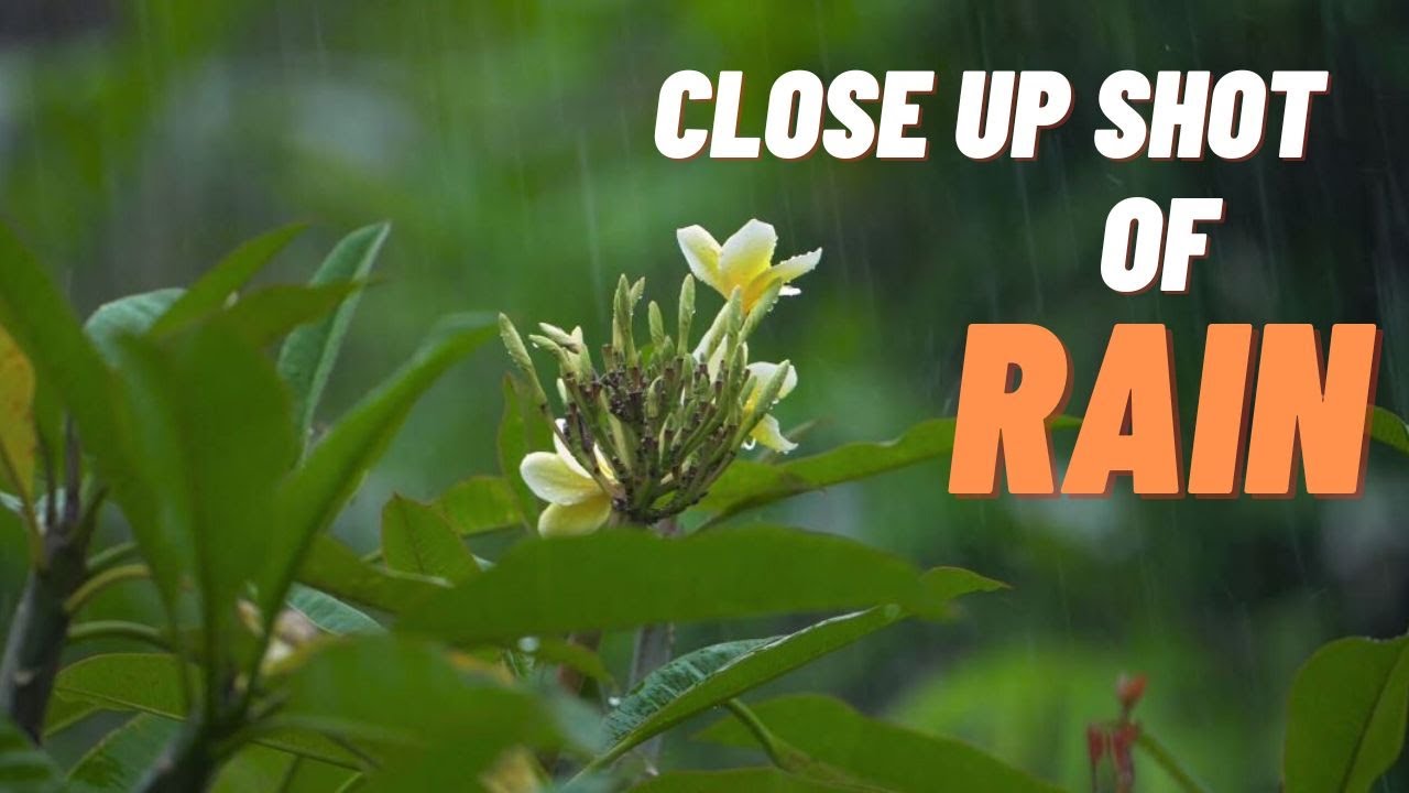 Rain Green Screen || Rain And Music || Close Up Shot Of Rain || bristi ...