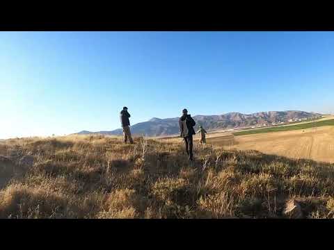 12.09.2026 Bıldırcın avı sezon açılışı.