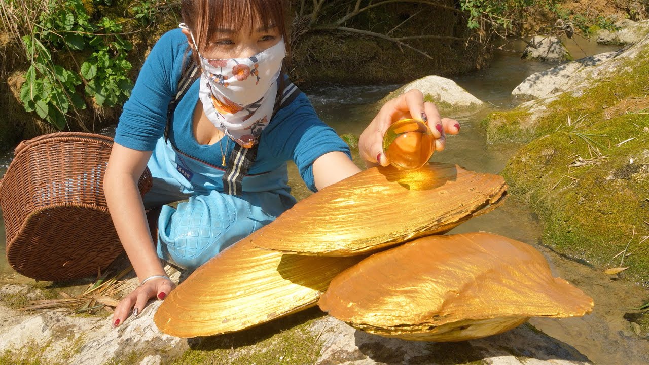 👍Muddy Miracle Discovered: Girl's Treasure Hunt Nets Colossal Clam, Yielding Exquisite Pearl ...