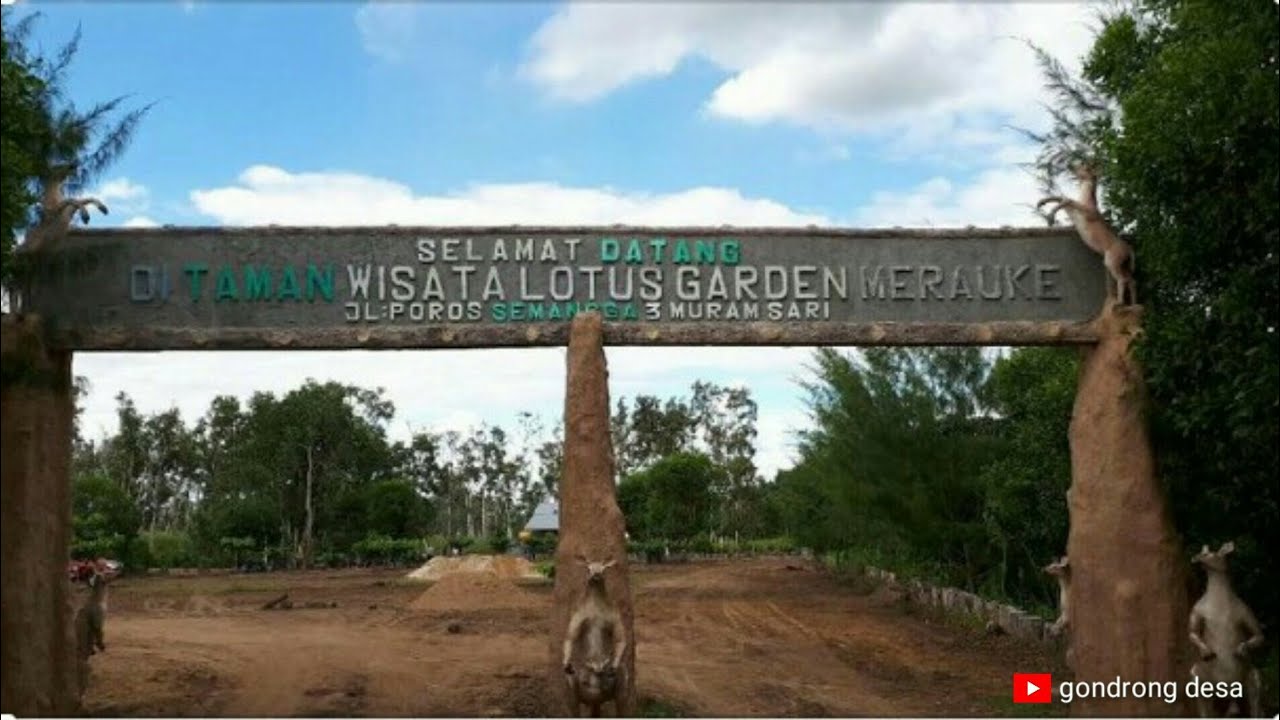wisata Lotus garden semangga 3 ( MERAUKE ) - YouTube