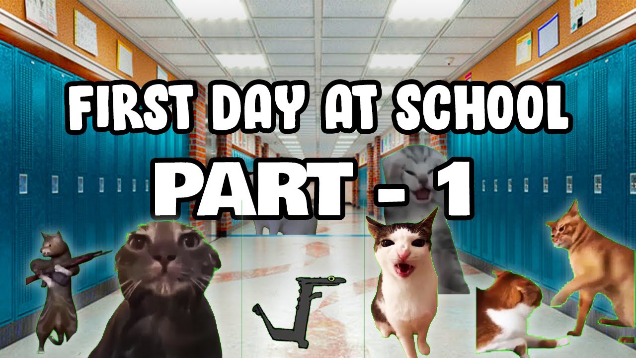 Cat Memes: First Day at School Part 1 - YouTube