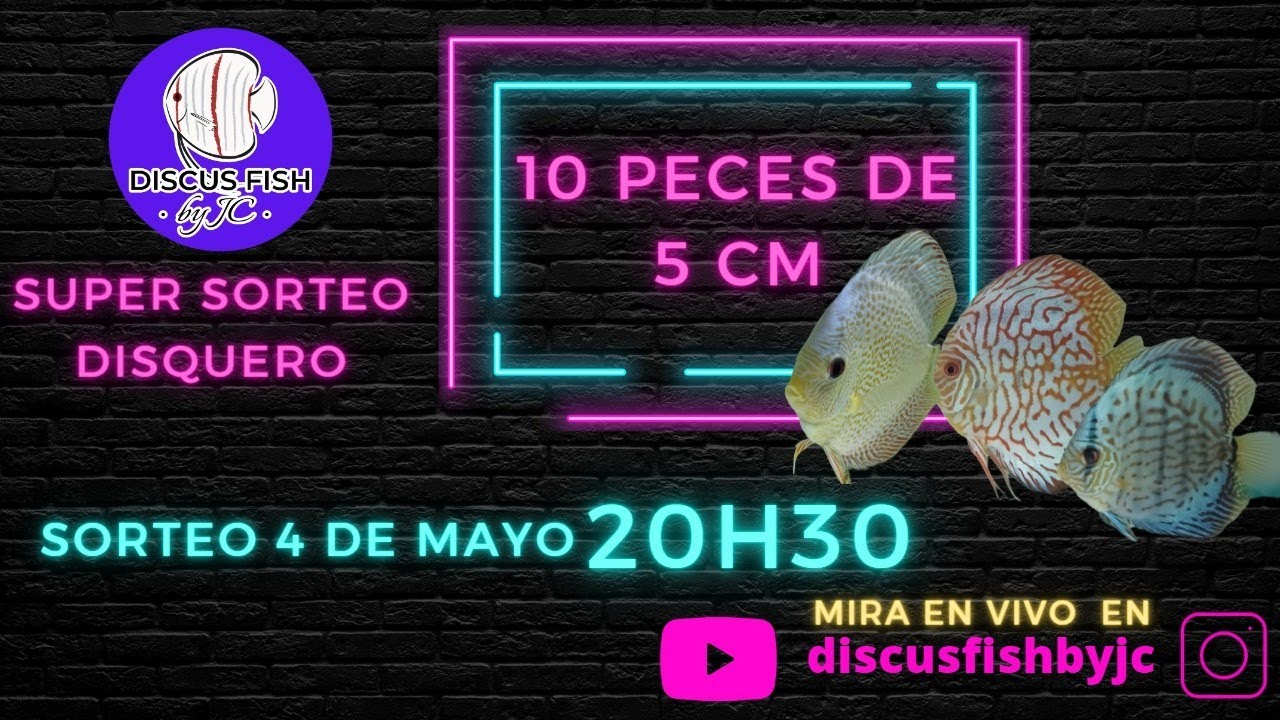Super Sorteo Disquero 10 peces DISCUS DE 5 cm - YouTube