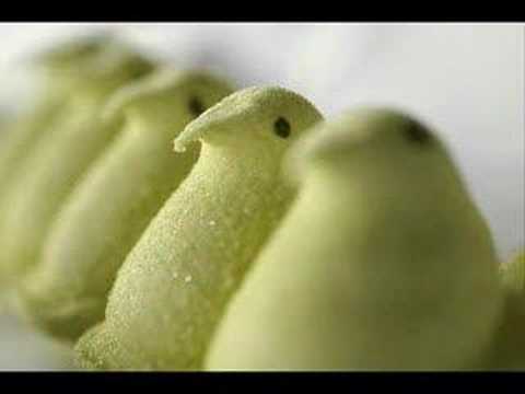 WHEN PEEPS ATTACK! - YouTube