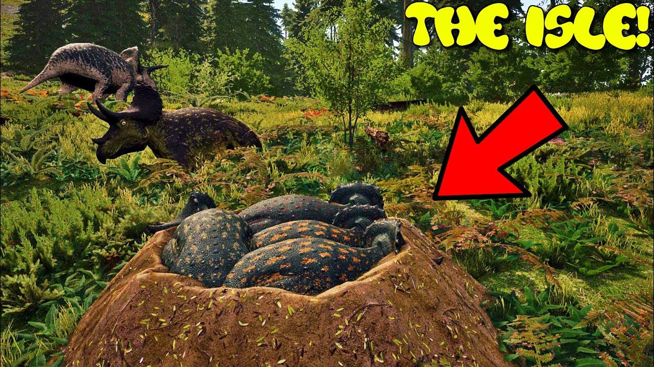 Triceratops Familia! • The Isle - YouTube