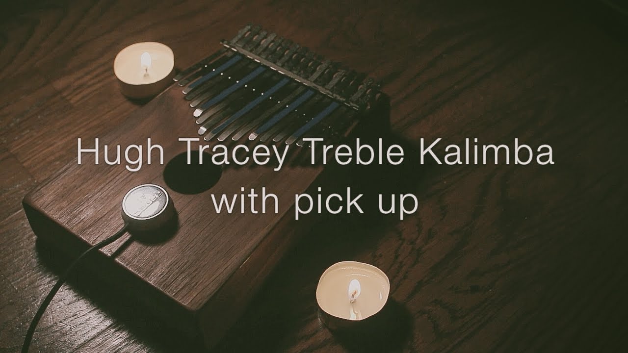 Hugh Tracey Treble Kalimba Solo with Pickup - YouTube