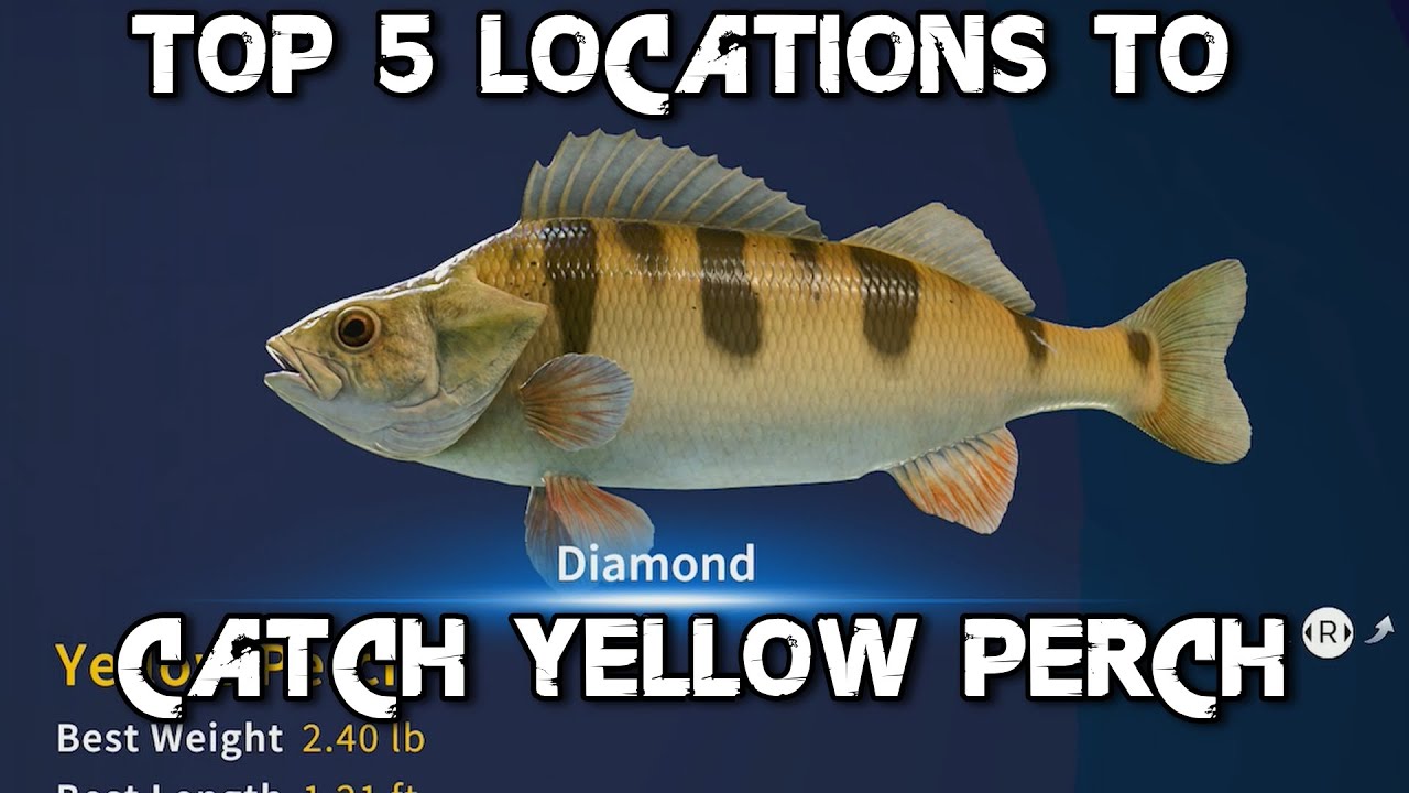 Top 5 locations To Catch A Diamond Yellow Perch In Call Of The Wild ...