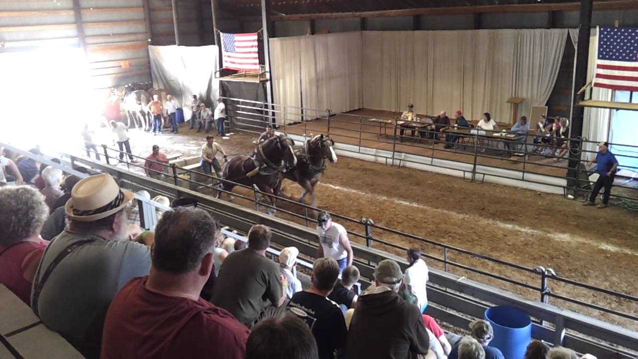 Sullivan County Fair 2012 Horse Pull 1 - YouTube