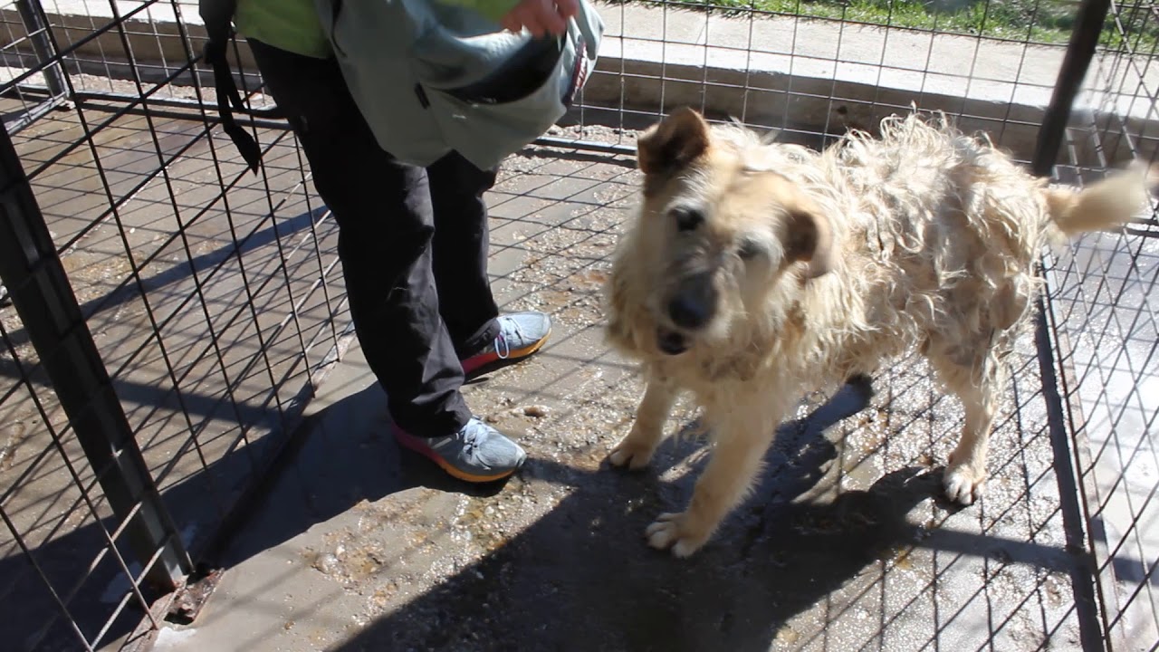 Labus Box 145 01 - YouTube