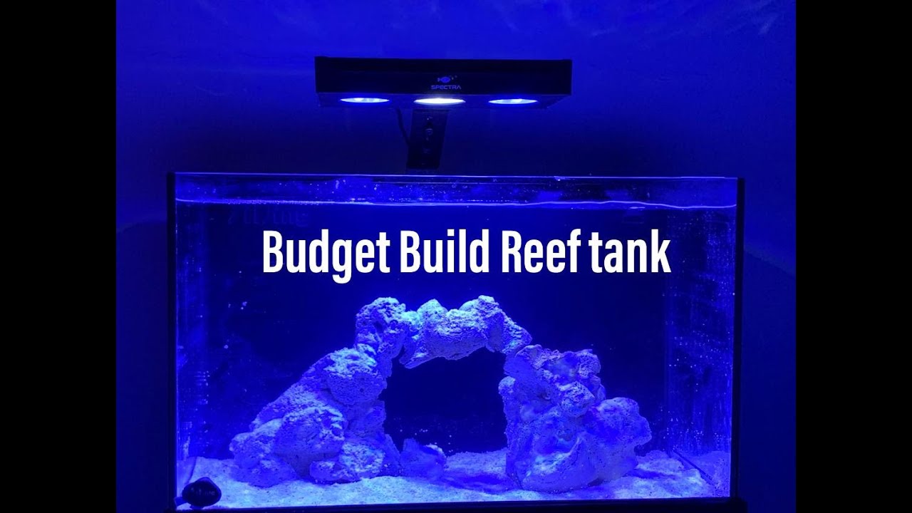 Budget Build Reef Tank - YouTube
