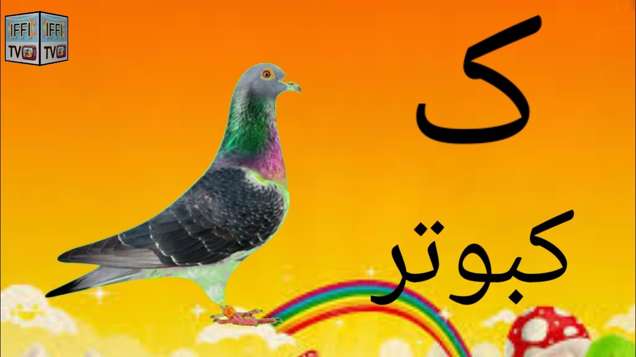 ا ب پ ت ٹ ث ج چ ح خ د ڈ ذ ر ڑ ز ژ س ش ص ض ط ظ ع غ ف ق ک گ ل م ن و ہ ی ے ...