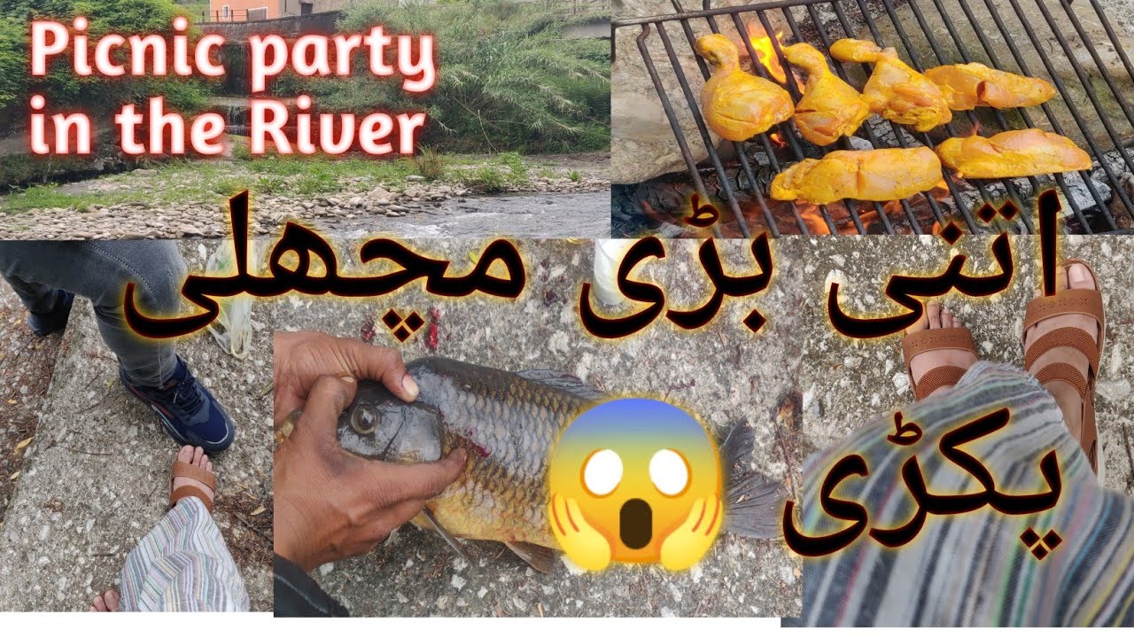 🌹Pakistani family picnic in Italy | Tufo Avellino Italy picnic ...