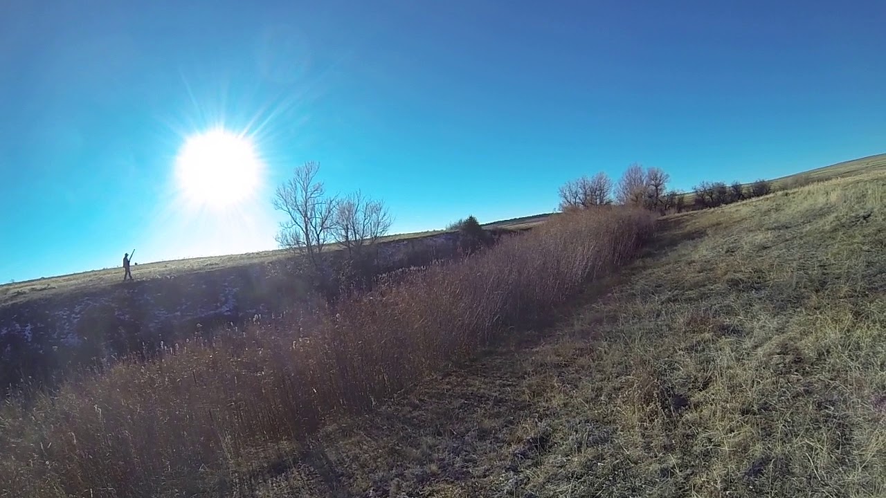 Bear Miller Outdoors - YouTube
