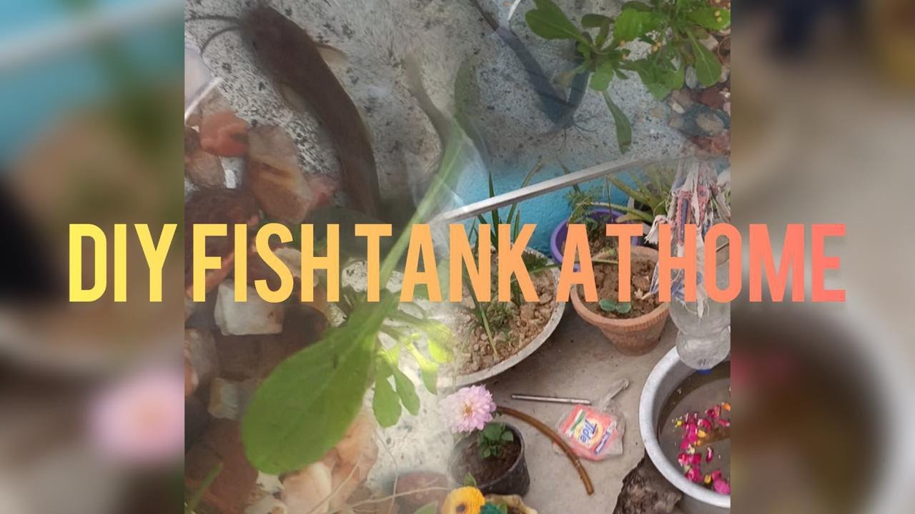 Fish Pond kaise setup Kare || make Diy Fish pond terrace per 🐠🐟🐠🐟 - YouTube