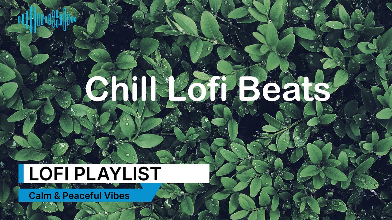 Calm Your Mind with Lofi Beats| Best Background Music for Work & Study ...