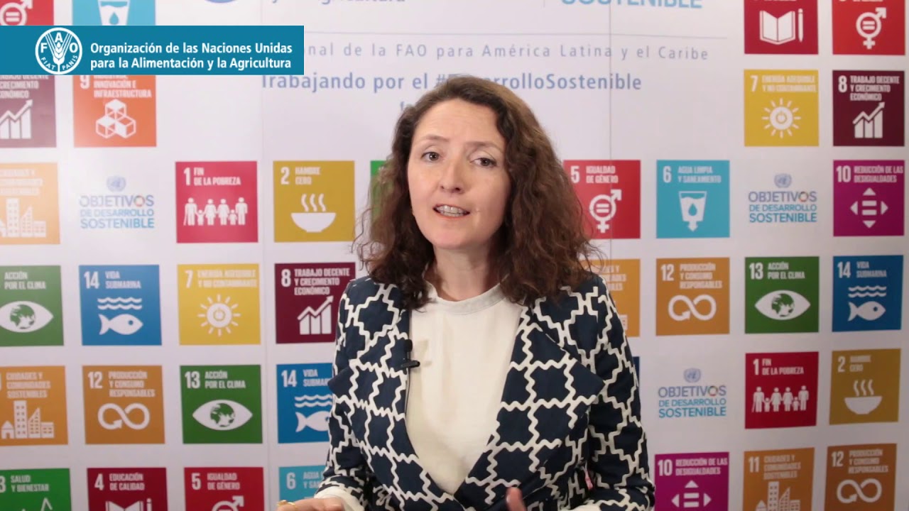 Sara Granados de FAO Américas - Desafíos para la disminución de ...